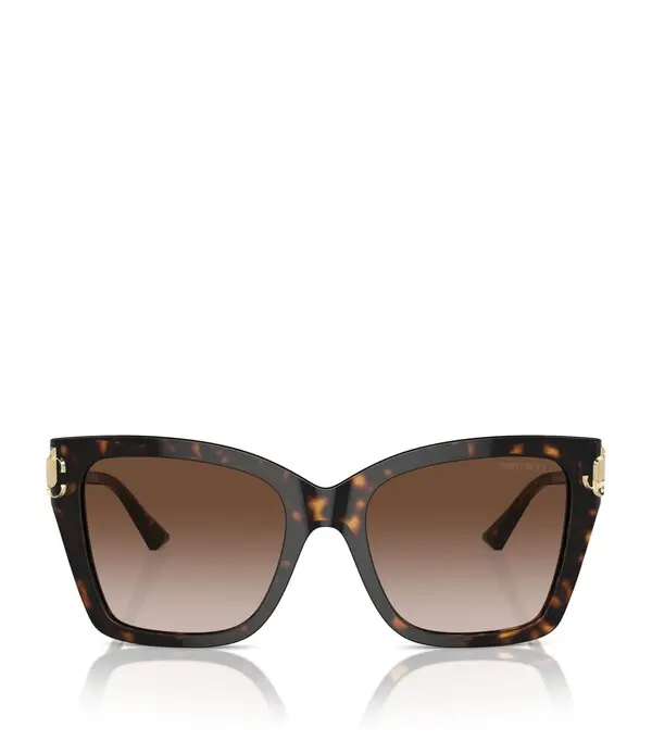 JIMMY CHOO Tortoiseshell Cat Eye Sunglasses - Brown
