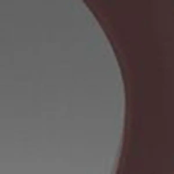 Cartier Panthère De Sunglasses - Red