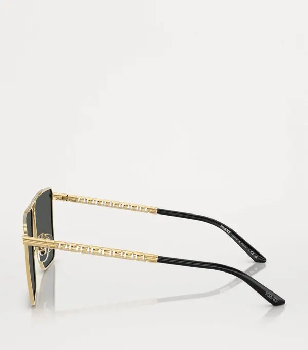 Versace Ve2266 Acetate Sunglasses