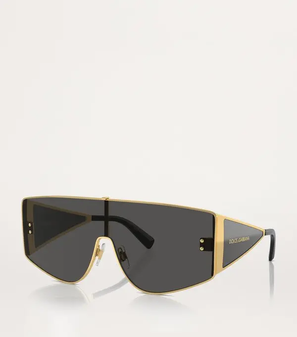Dolce & Gabbana Acetate Dg2305 Sunglasses