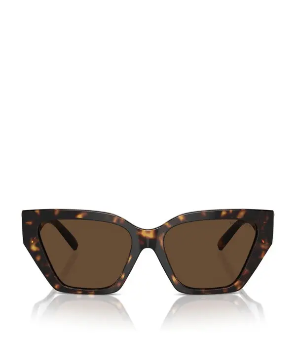 Tiffany & Co. Acetate Tf4218 Sunglasses - Brown