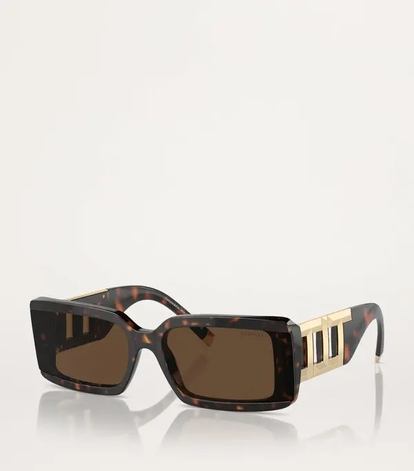 Tiffany & Co. Acetate Tf4197 Sunglasses