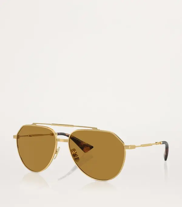 Dolce & Gabbana Acetate Dg2302 Sunglasses