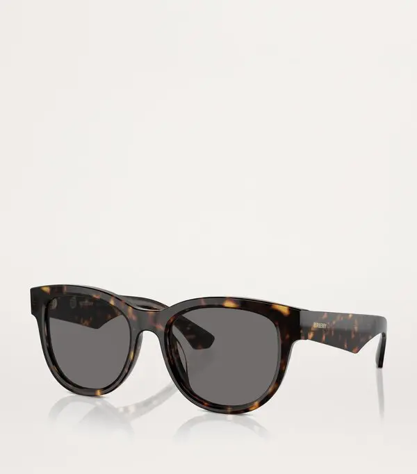 Burberry Steel Sunglasses