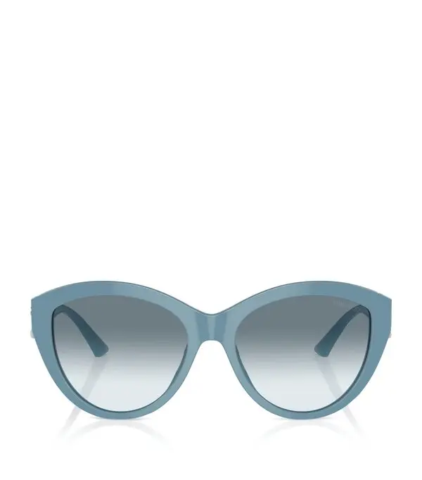 JIMMY CHOO Acetate Cat Eye Sunglasses - Blue