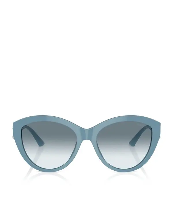 JIMMY CHOO Acetate Cat Eye Sunglasses - Blue