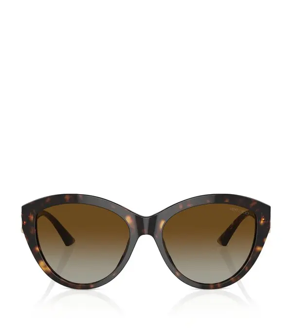 JIMMY CHOO Acetate Cat Eye Sunglasses - Brown