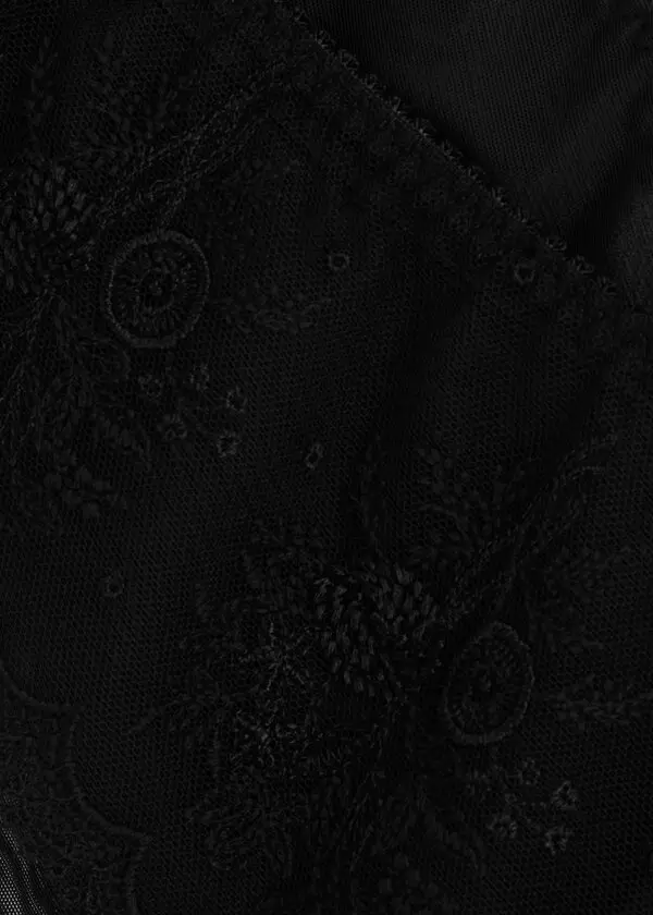 Simone Perele Intrigue Embroidered Tulle Briefs