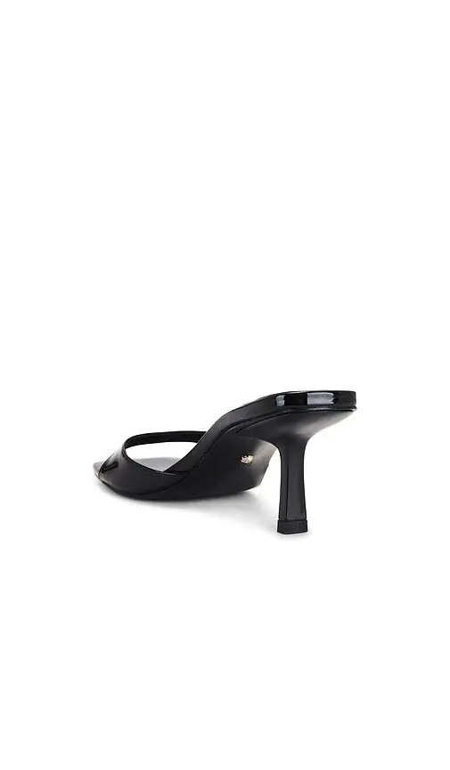 Raye Jocey Mule