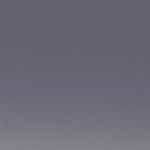 Celine Acetate Sunglasses