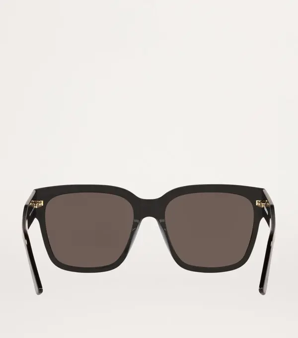 Balenciaga Acetate Sunglasses