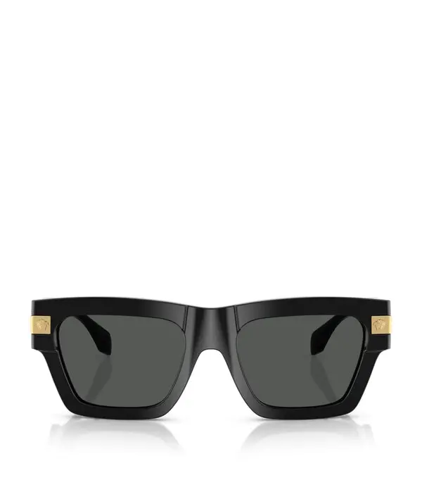Versace Nylon Ve4464 Sunglasses - Black