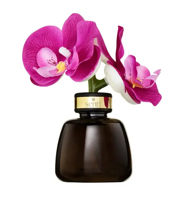 SENTI The Little Orchid White Flowers Diffuser - Black