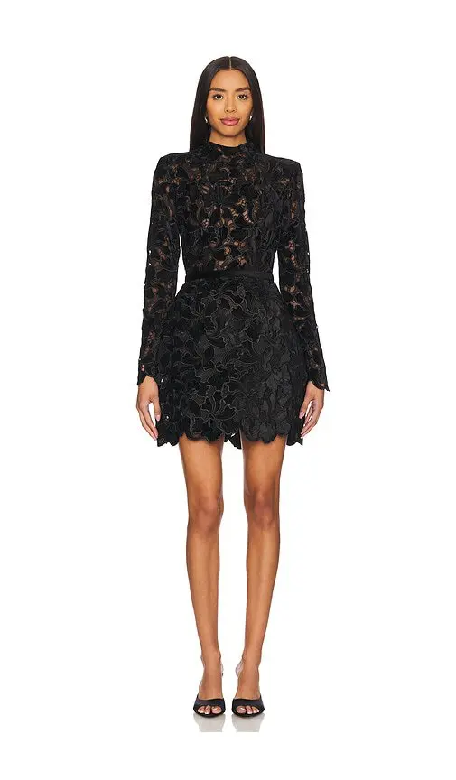 NADINE MERABI Lydia Embroidered Lace Dress - Black