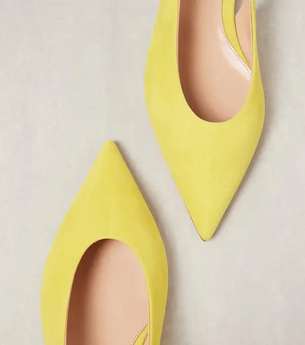 GIANVITO ROSSI Suede Pointed Toe Slingback Flats