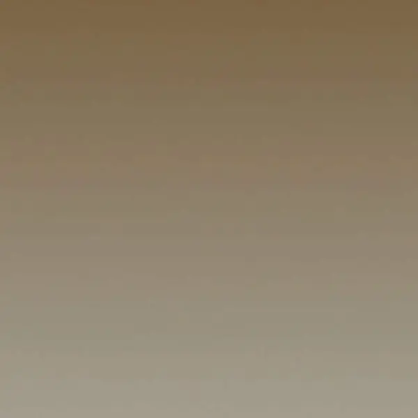 Burberry Square Frame Sunglasses