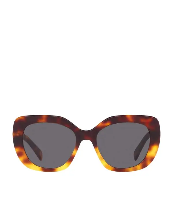 Celine Acetate Cl40226u Sunglasses - Brown
