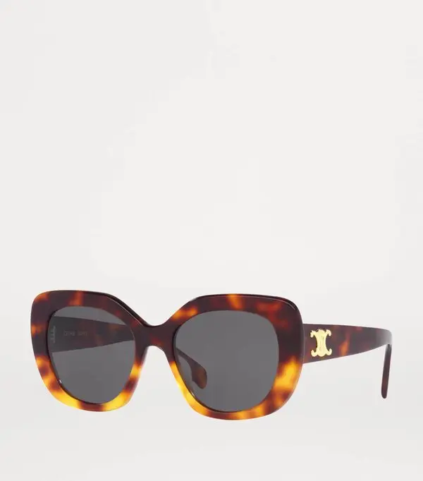 Celine Acetate Cl40226u Sunglasses
