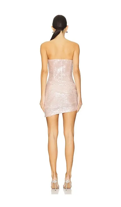 Nbd Eida Mini Dress
