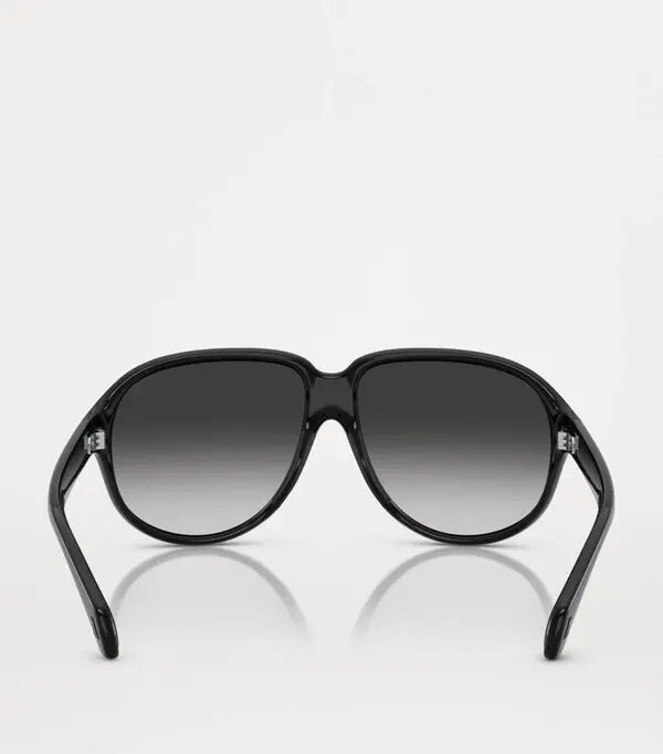 Moncler Injected Halcyonne Sunglasses - Black
