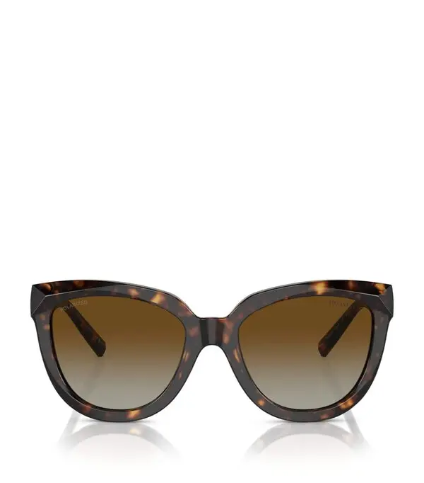 Tiffany & Co. Acetate Cat Eye Sunglasses With Monogram Detail - Brown Gradient