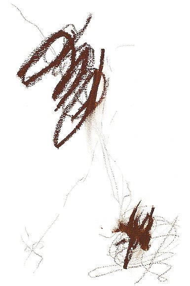 19/99 BEAUTY Precision Colour Pencil - Barna