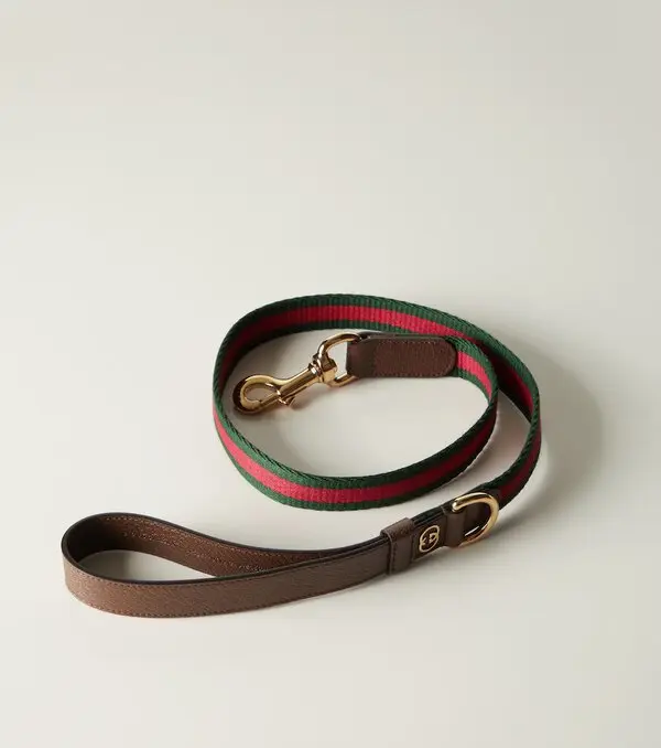 Gucci Web Stripe L Dog Leash
