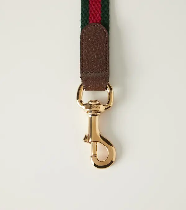 Gucci Web Stripe L Dog Leash
