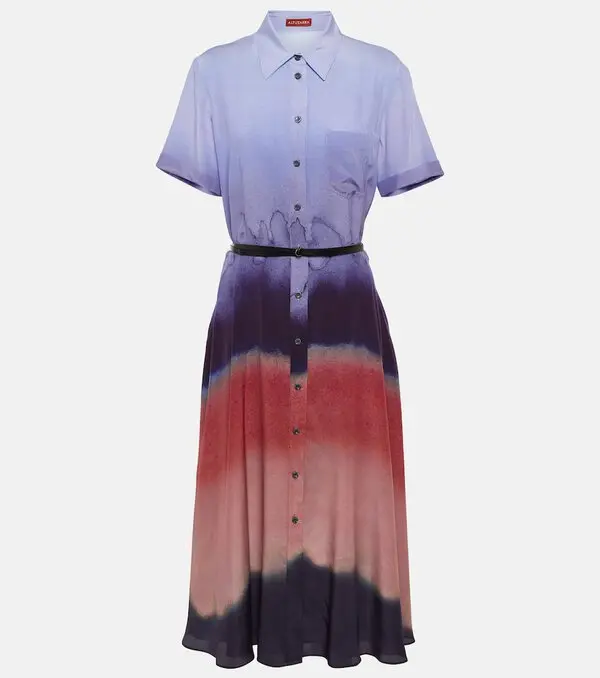 Altuzarra Kiera Printed Silk Shirt Dress - Multicoloured