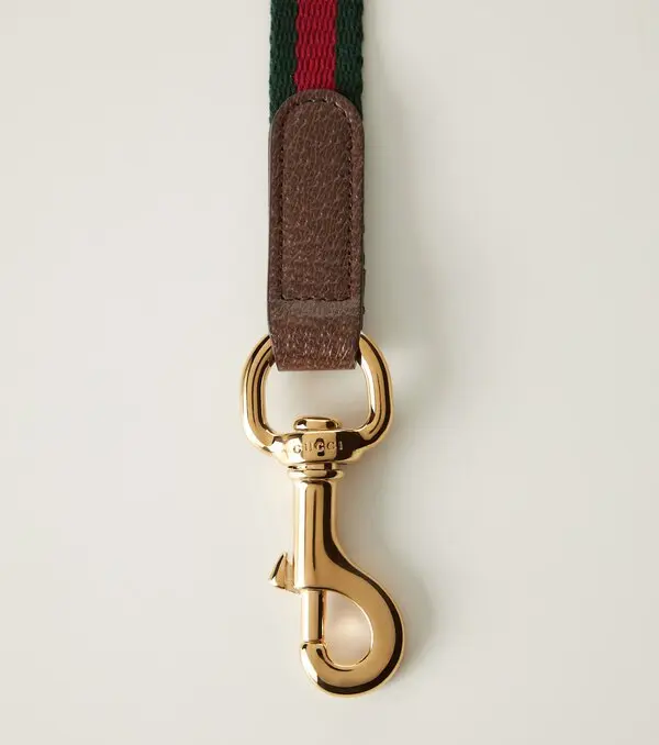 Gucci Web Stripe S/m Dog Leash - Multicoloured