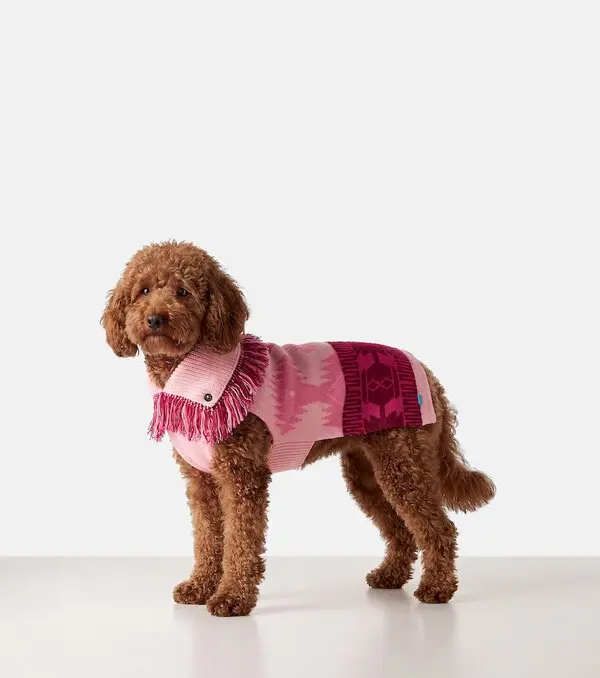 Alanui X Poldo Dog Couture Dog Sweater