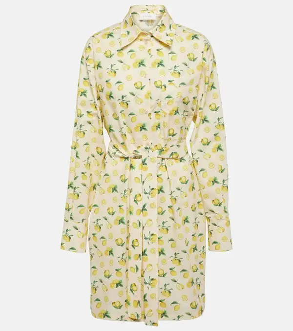 Sportmax Boero Printed Cotton Shirt Dress - Multicoloured