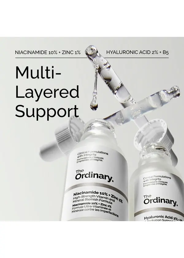 THE ORDINARY The Skin Support