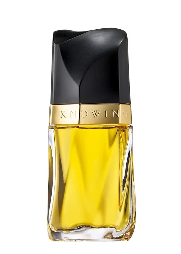 Estée Lauder Eau De Parfum Spray Fragrance, Wood, Elegant Bottle - Knowing