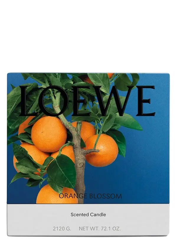 Loewe Orange Candle