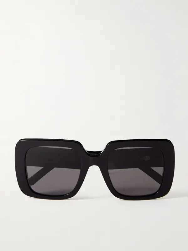 Dior Wildior S3u Acetate Sunglasses