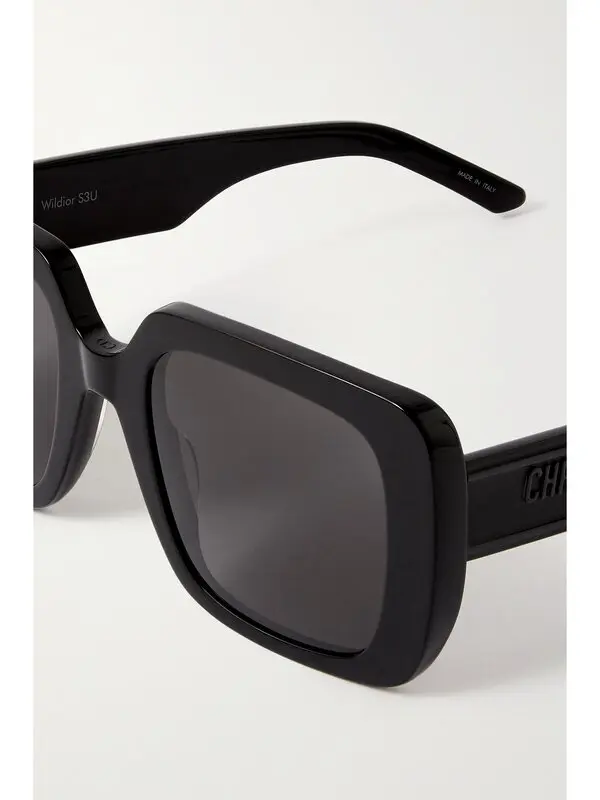 Dior Wildior S3u Acetate Sunglasses