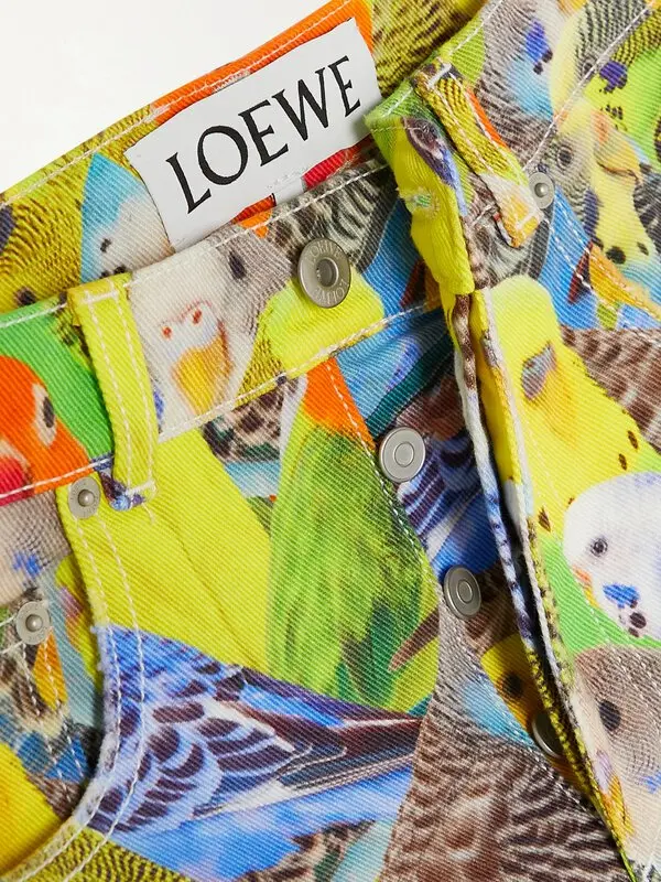 Loewe High-rise Printed Flared Jeans