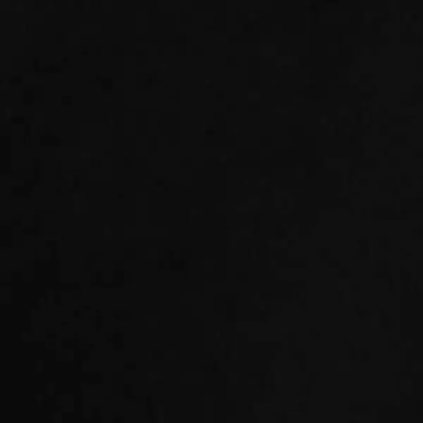 ALEXANDRE TURPAULT Florence Tablecloth - Black