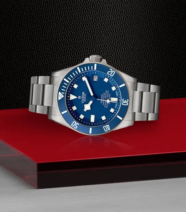 TUDOR Pelagos Titanium And Steel Diver's Watch