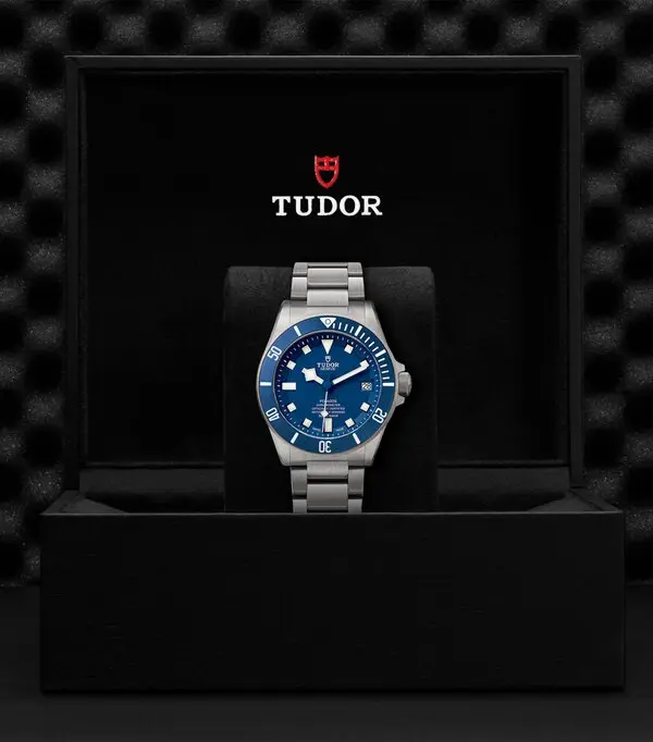 TUDOR Pelagos Titanium And Steel Diver's Watch