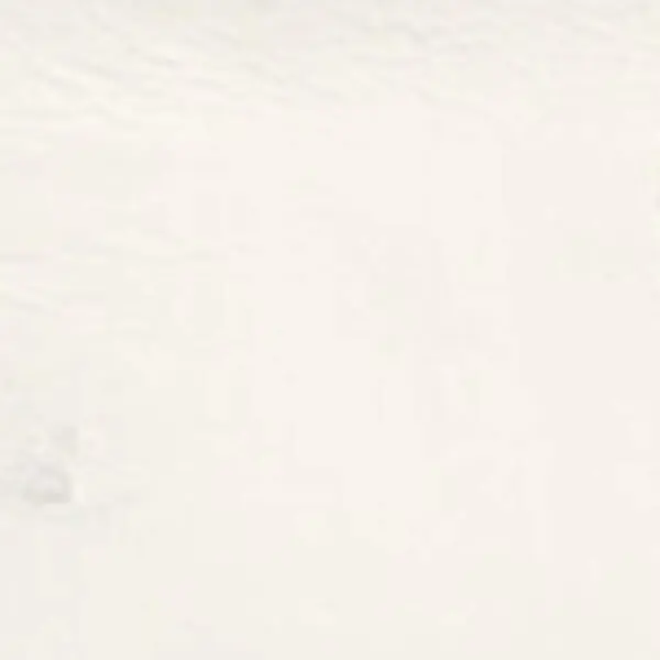 GOLDEN GOOSE Super-star Leather Sneakers