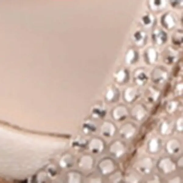 Rene Caovilla Embellished Margot Stiletto Sandals