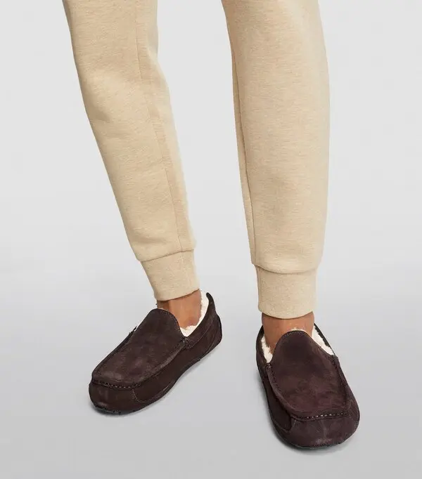 UGG Suede Shearling-lined Ascot Slippers - Brown