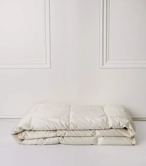 BRINKHAUS Arctic Duck Down Duvet - Ivory