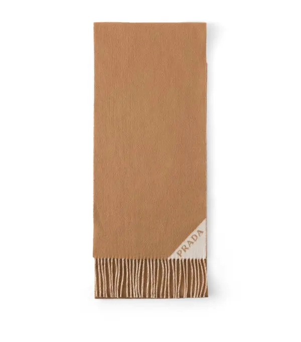 Prada Cashmere Logo Scarf - Brown