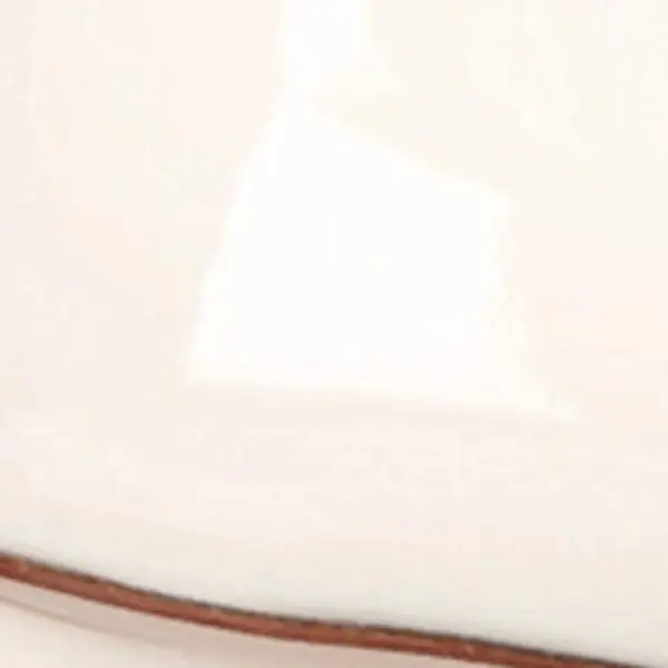 ROGER VIVIER Décolleté Belle Vivier 45 Pumps