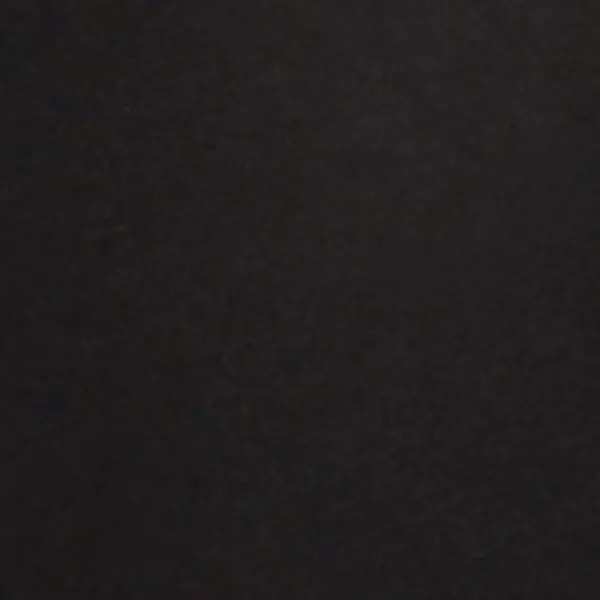 BOSS Logo Trunks