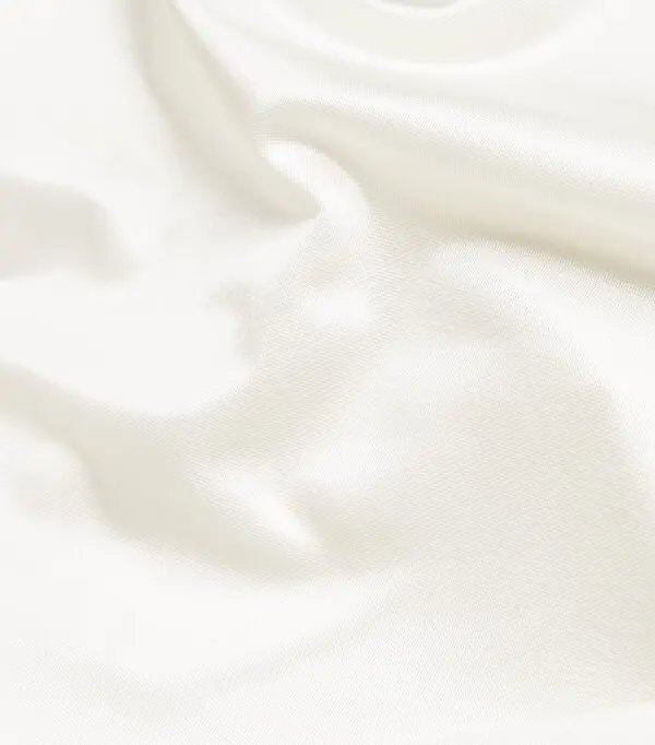 Spanx Satin Shaping Briefs Light Control