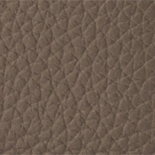 Loewe Small Calfskin Vertical Wallet